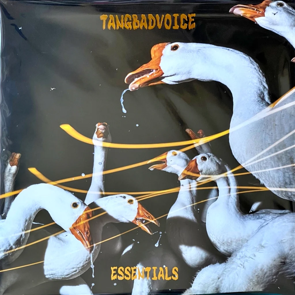 Tangbadvoice - Essentials (Color Vinyl) - Chiva Record (ชีวา เรคคอร์ด)