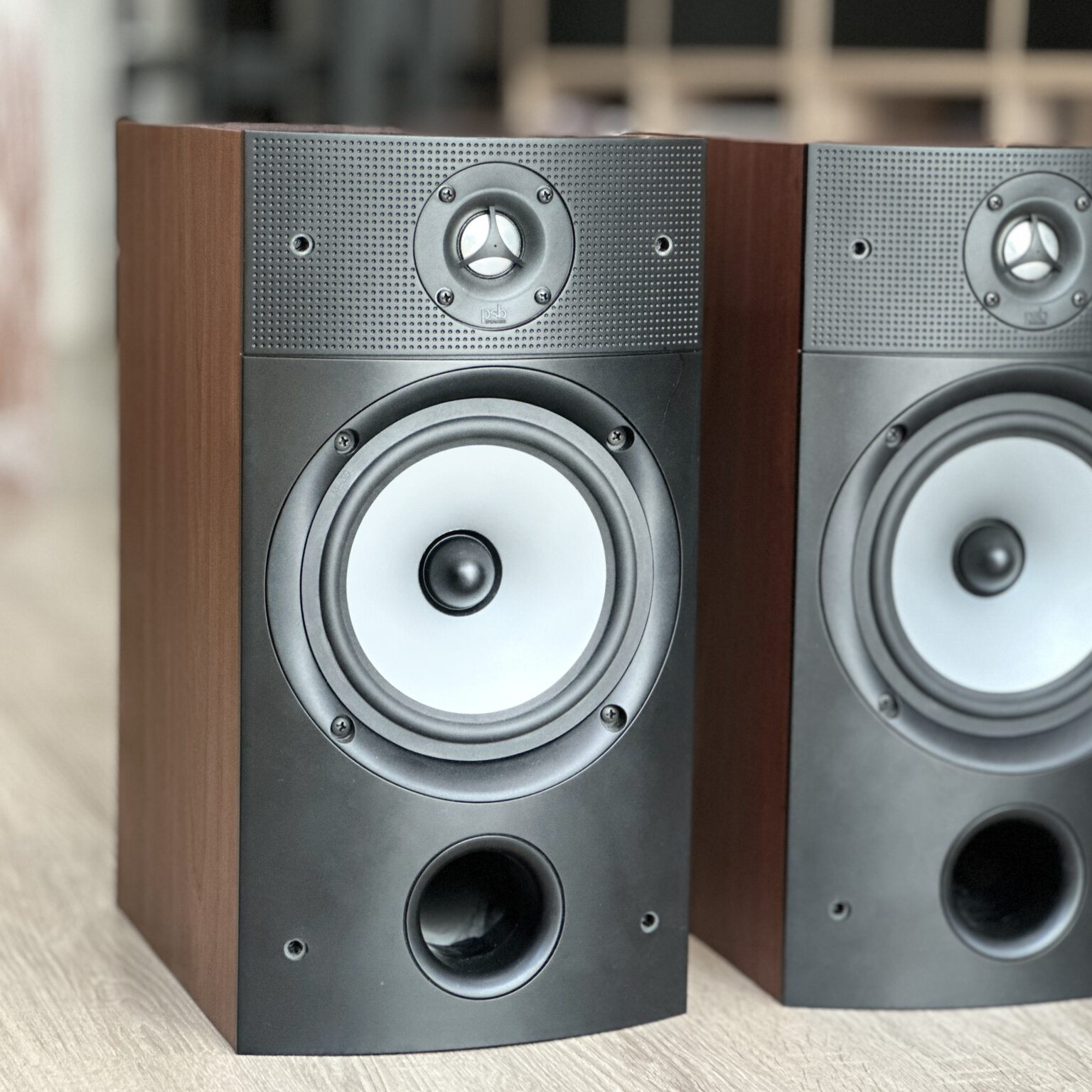 ลำโพง PSB Image 2B - Chiva Record (ชีวา เรคคอร์ด)