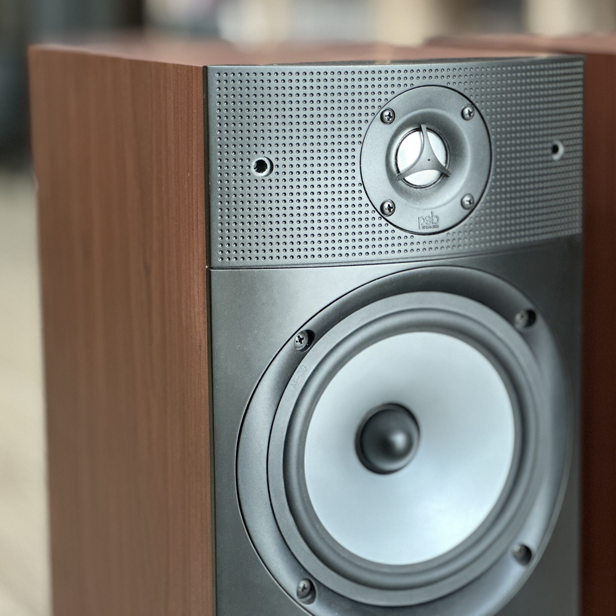 ลำโพง PSB Image 2B - Chiva Record (ชีวา เรคคอร์ด)